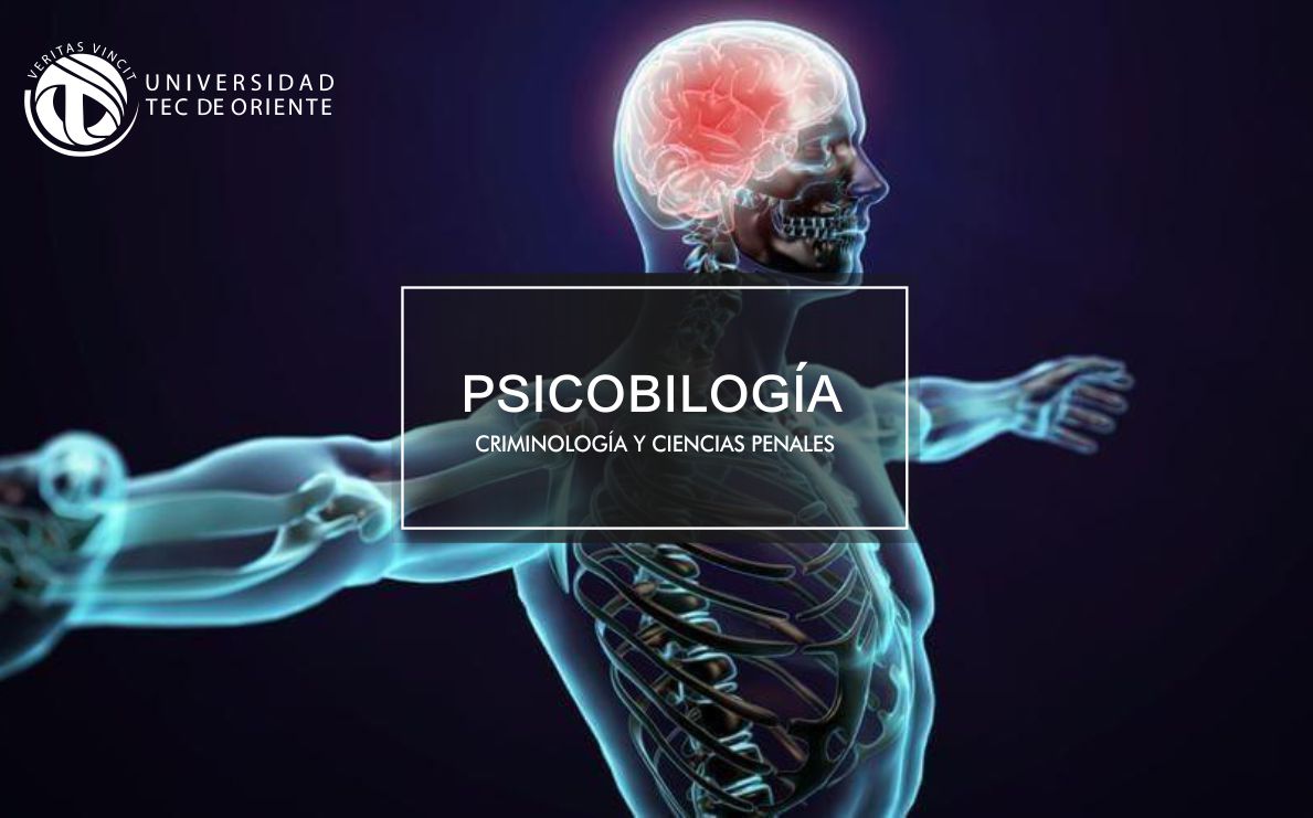 PSICOBIOLOGÍA. – Aldea TDO